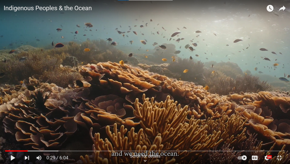 Indigenous Peoples & the Ocean | SSF Hub